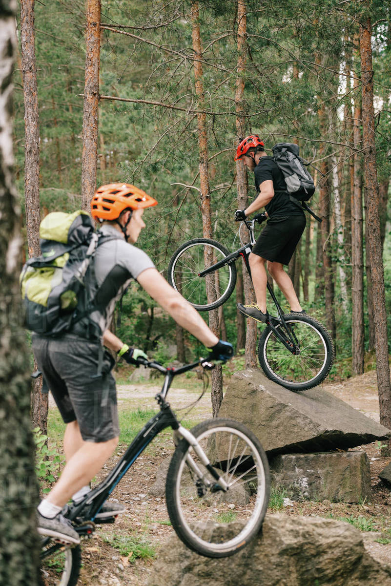 Young trial bikers having fun in pine forest - Royalty-free Stock Photo ...