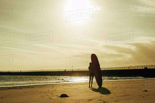 Back view of surfer posing with surfboard on beach at sunset - Royalty ...