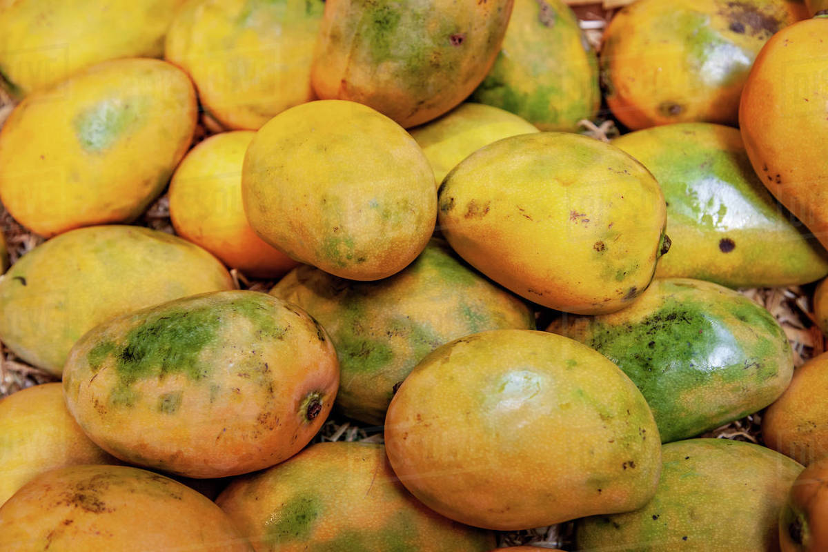 Full frame image of pile of yellow mangoes - Royalty-free Stock Photo ...