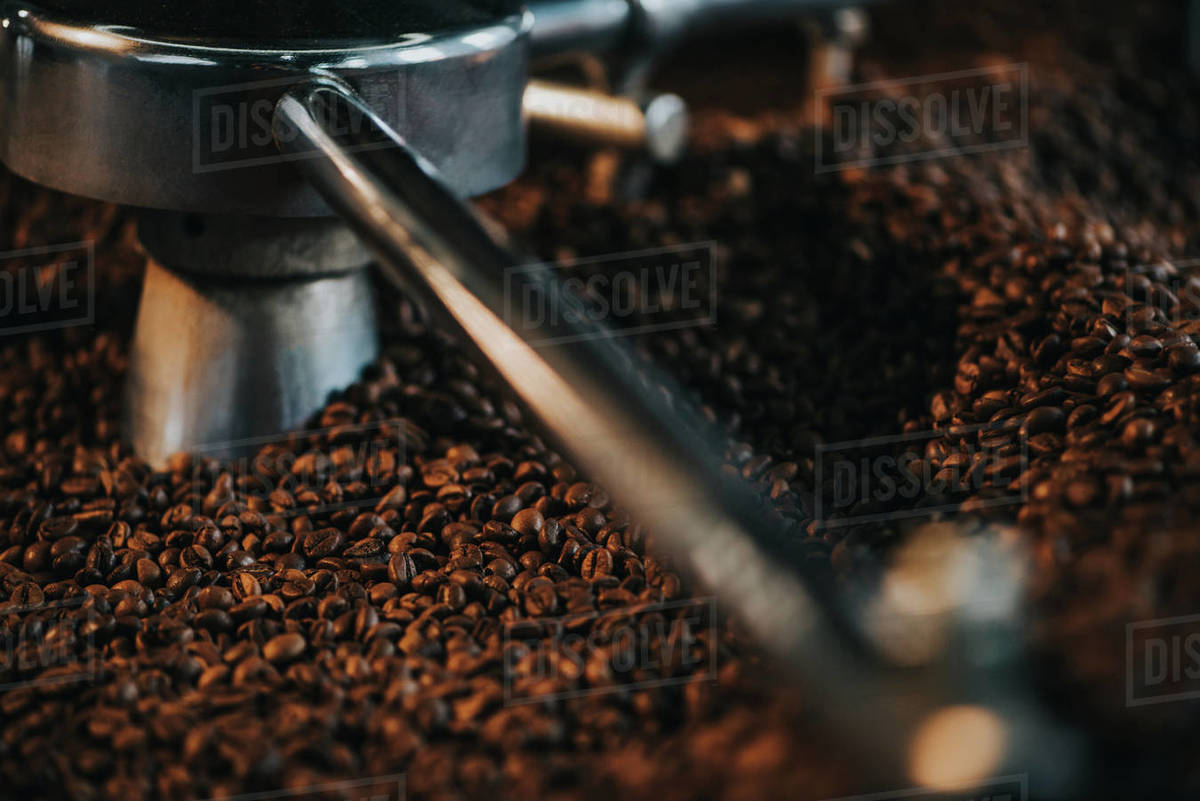 Professional coffee roaster with fresh roasted coffee beans - Stock ...
