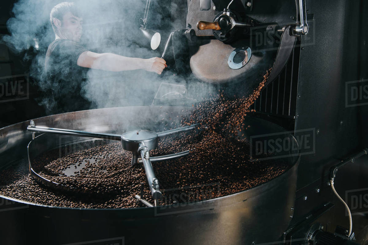 Professional male roaster loading machine with coffee beans - Royalty ...