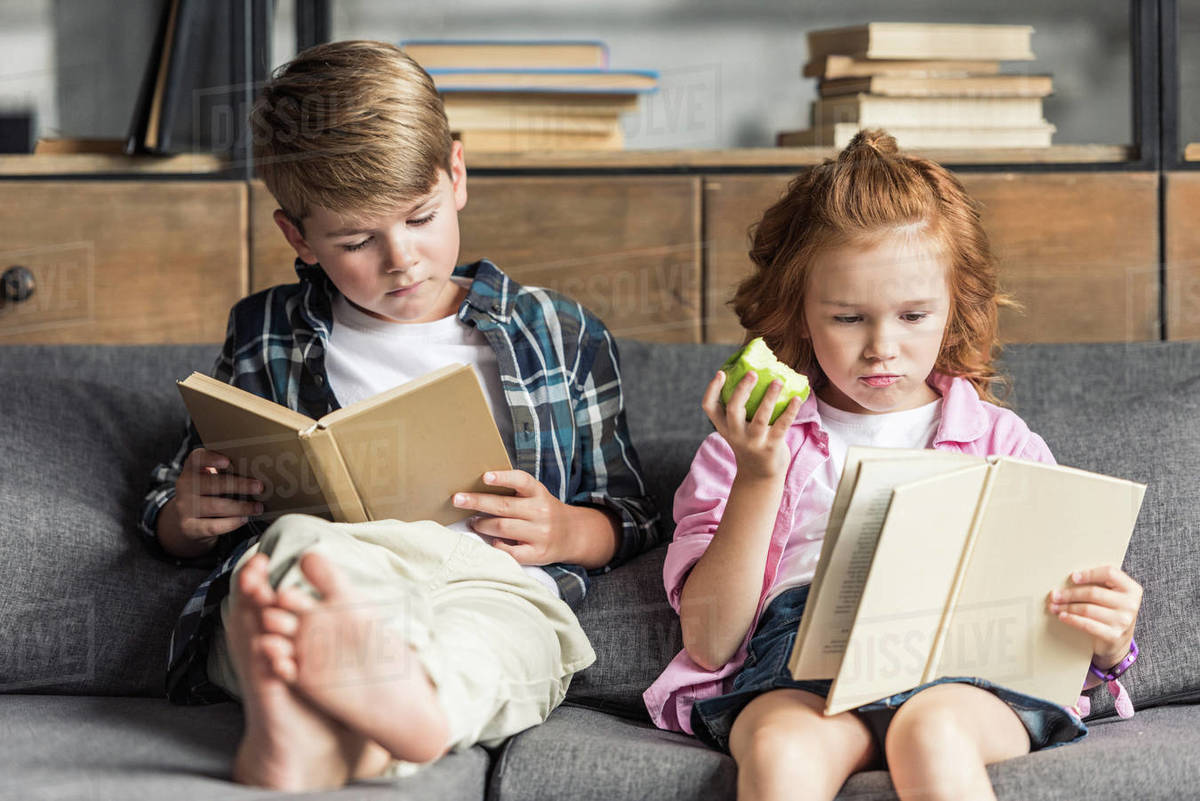 concentrated little brother and sister reading books on couch at home ...