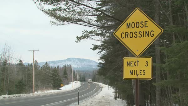 Moose Crossing road sign in the White Mountains of New Hampshire. - HD ...
