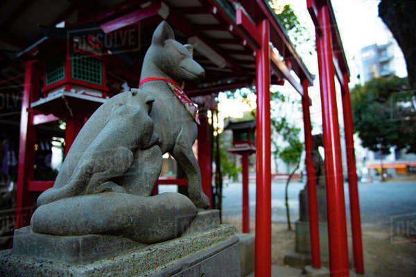 Statue Guardian Fox At Hanazono Shrine In Tokyo - Royalty-free Stock ...