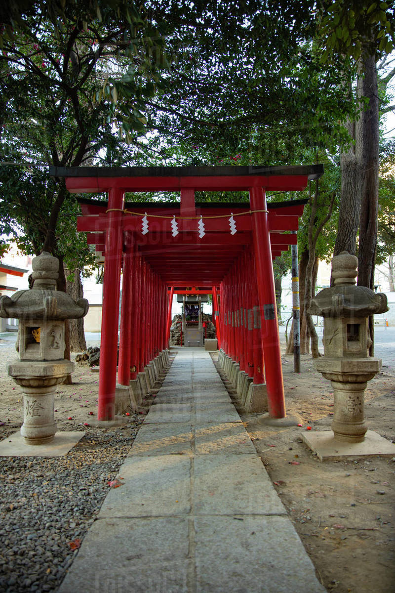 Big gate at Japanese traditional shrine. Shinjuku district Tokyo Japan ...
