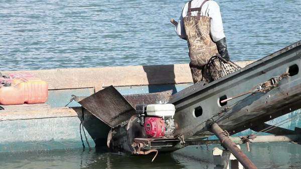 Fish load from boat to conveyor to truck. - Stock Video Footage - Dissolve