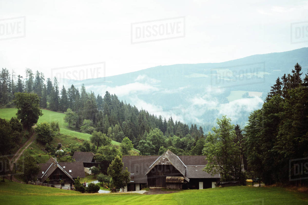 Farmland in forested mountains during foggy morning - Stock Photo ...