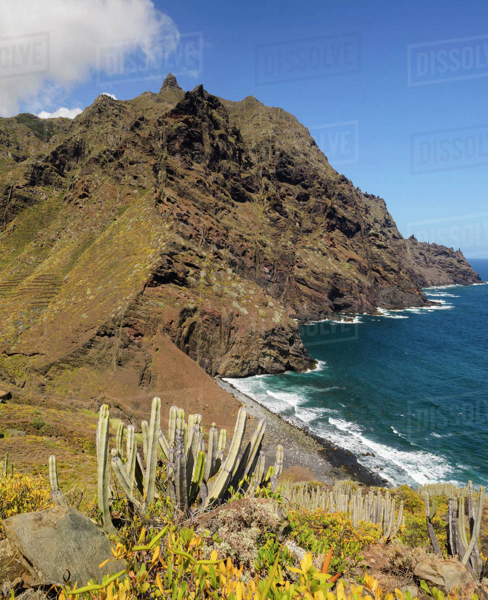 Hiking trail along Tamadite beach, Anaga Rural Park, Tenerife, Canary ...