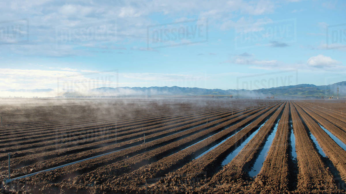 Mist over a waterlogged fallow field, Soledad, Monterey, California ...