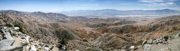 Joshua Tree Park overlooking the San Andreas fault, California, USA ...
