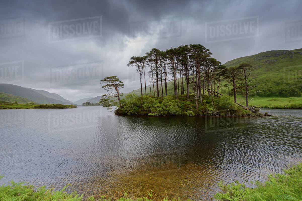 Loch Eilt, Scotland - Royalty-free Stock Photo | Dissolve