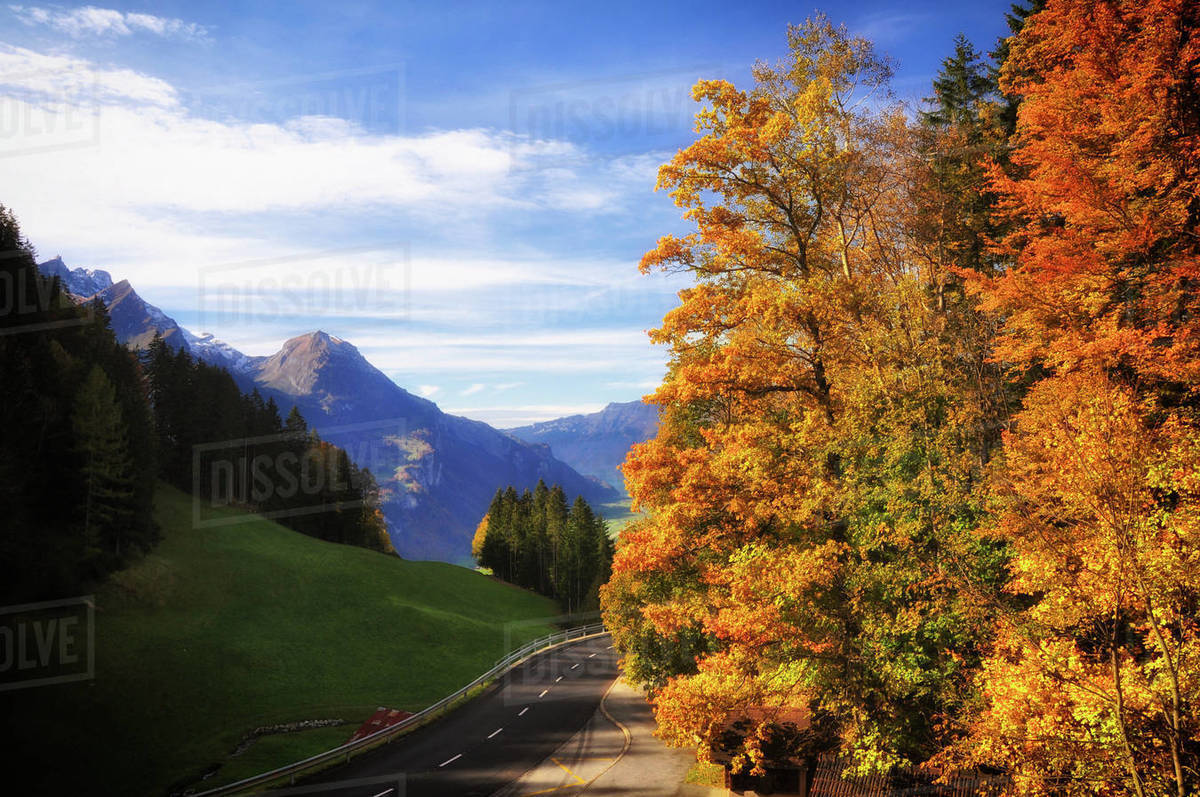 Autumn leaves, road and mountain landscape, Bern, Switzerland - Royalty ...