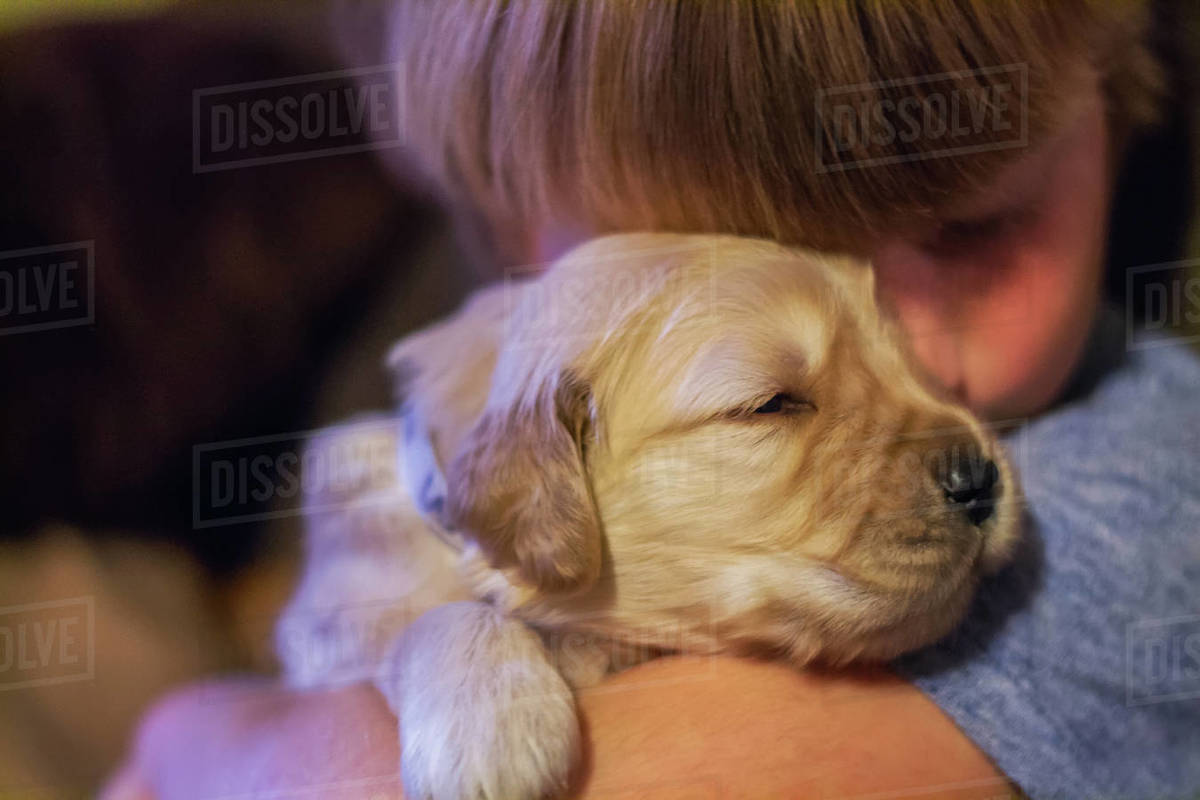 Boy hugging golden retriever puppy dog - Royalty-free Stock Photo ...