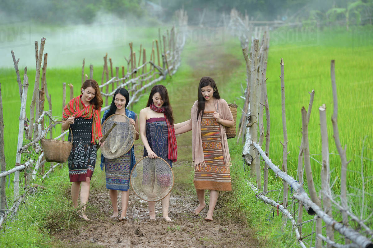 Four women walking along footpath between rice fields, Thailand ...
