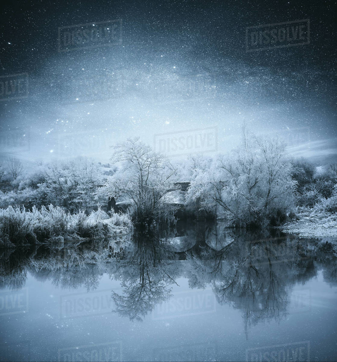 Snow covered trees by a lake at night, County Monaghan, Ireland ...