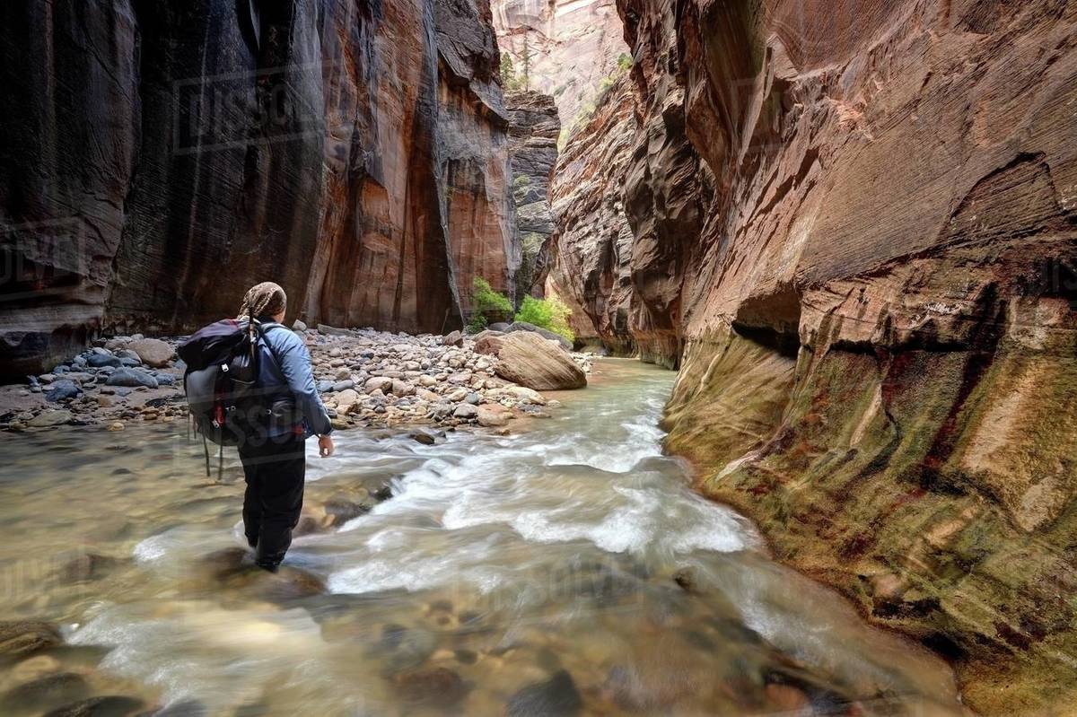 Hiker walking through river in the Narrows, Zion National Park, Utah ...