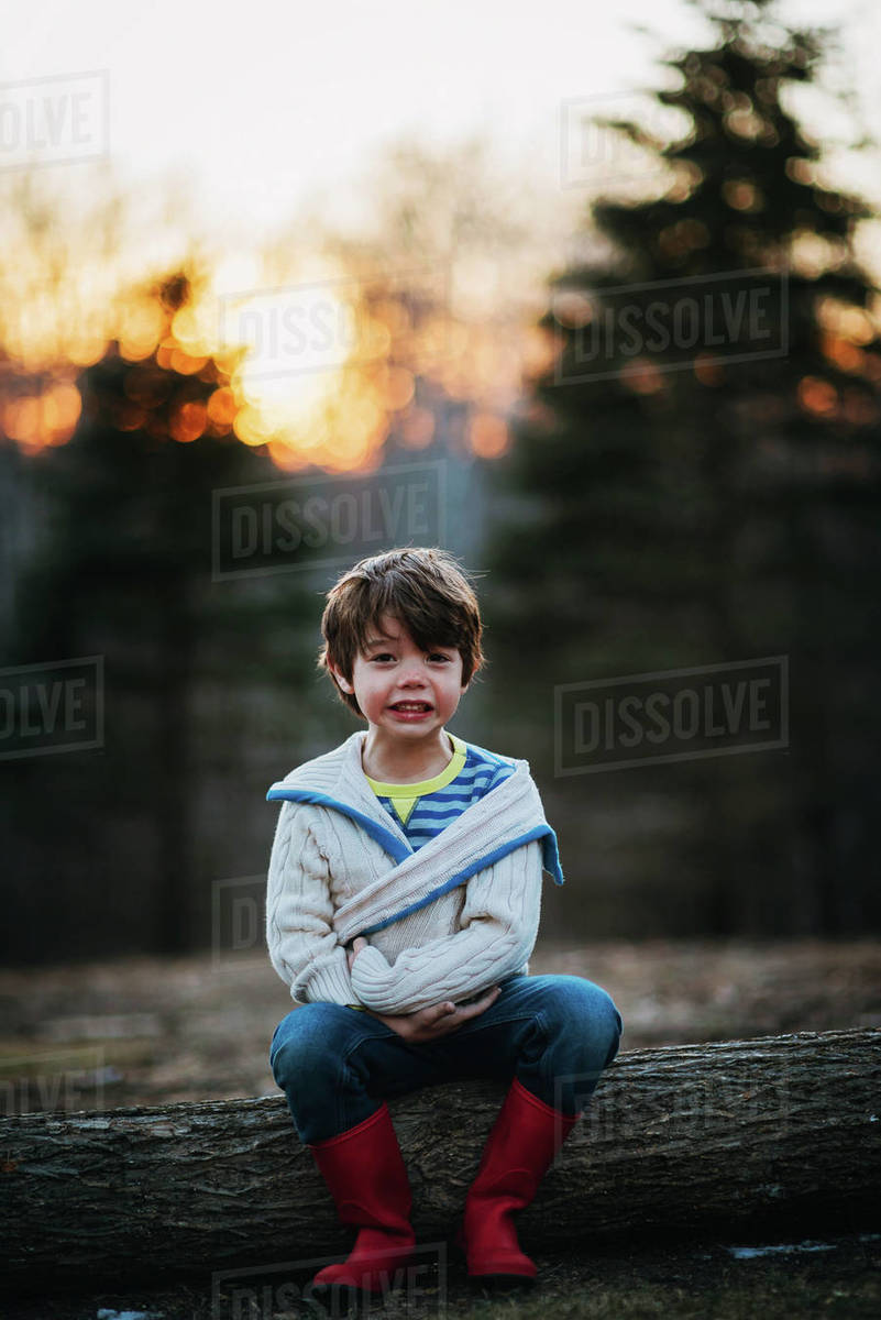 Boy sitting on a log laughing - Stock Photo - Dissolve