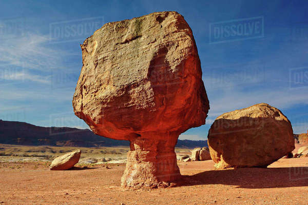 Sandstone boulder near Lee's Ferry, Grand Canyon, Arizona, America, USA ...