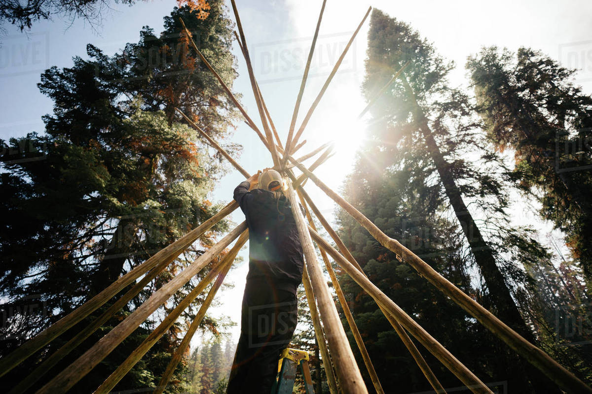 Man Building Tipi Structure, Sequoia National Forest, California ...