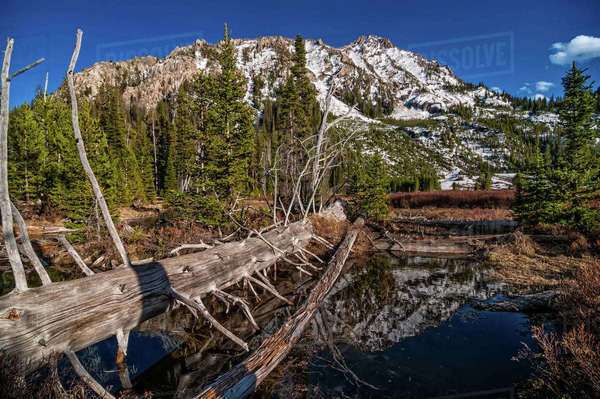 A beautiful scene taken in Idaho (near Stanley,ID). Took a long hike to ...