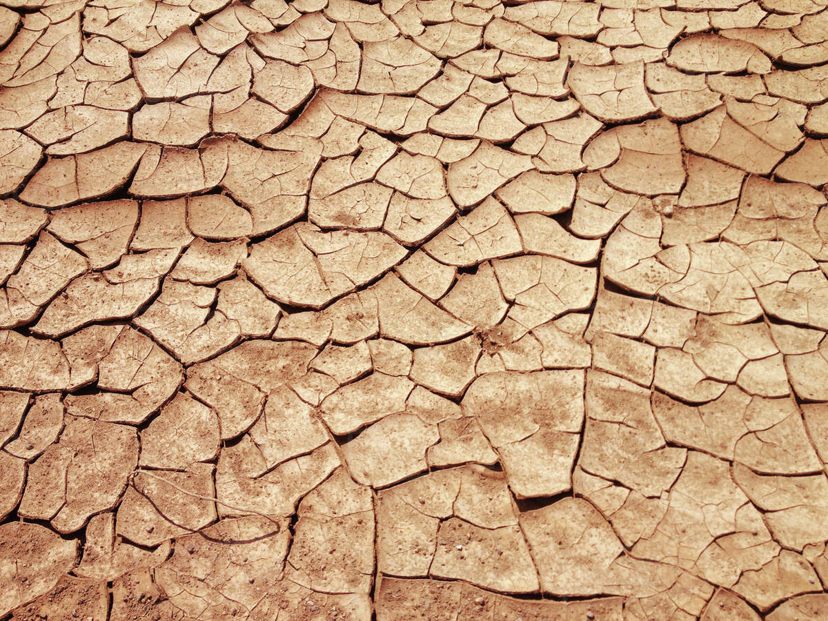 USA, Nevada, Cracked earth, Dried out land in drought - Royalty-free ...