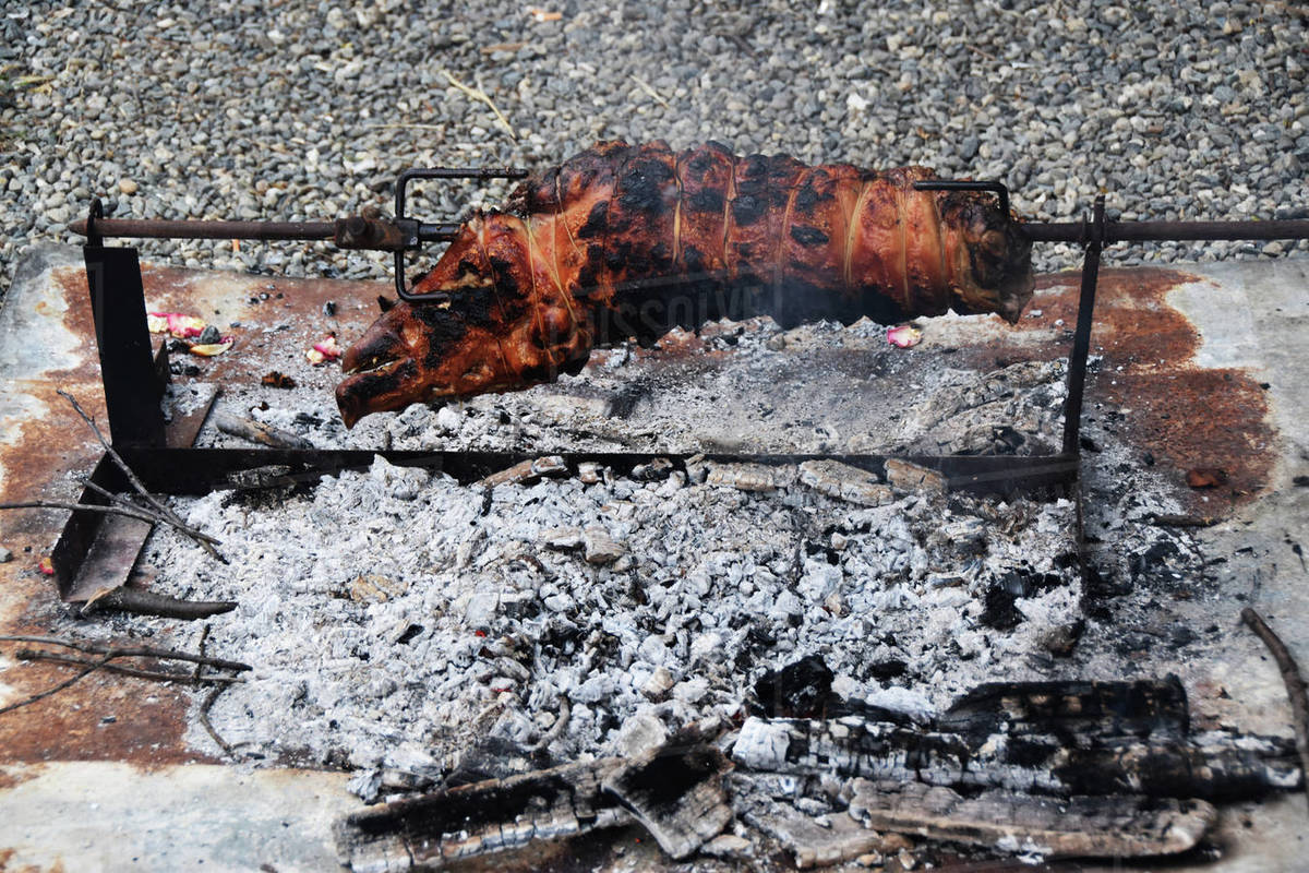Spit roast pork roasting over a fire - Royalty-free Stock Photo | Dissolve