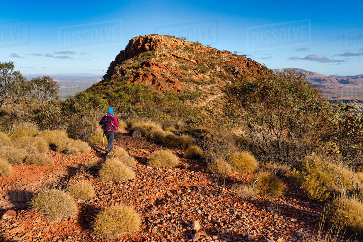 Woman hiking on Mt Sonder, West MacDonnell National Park, Northern ...