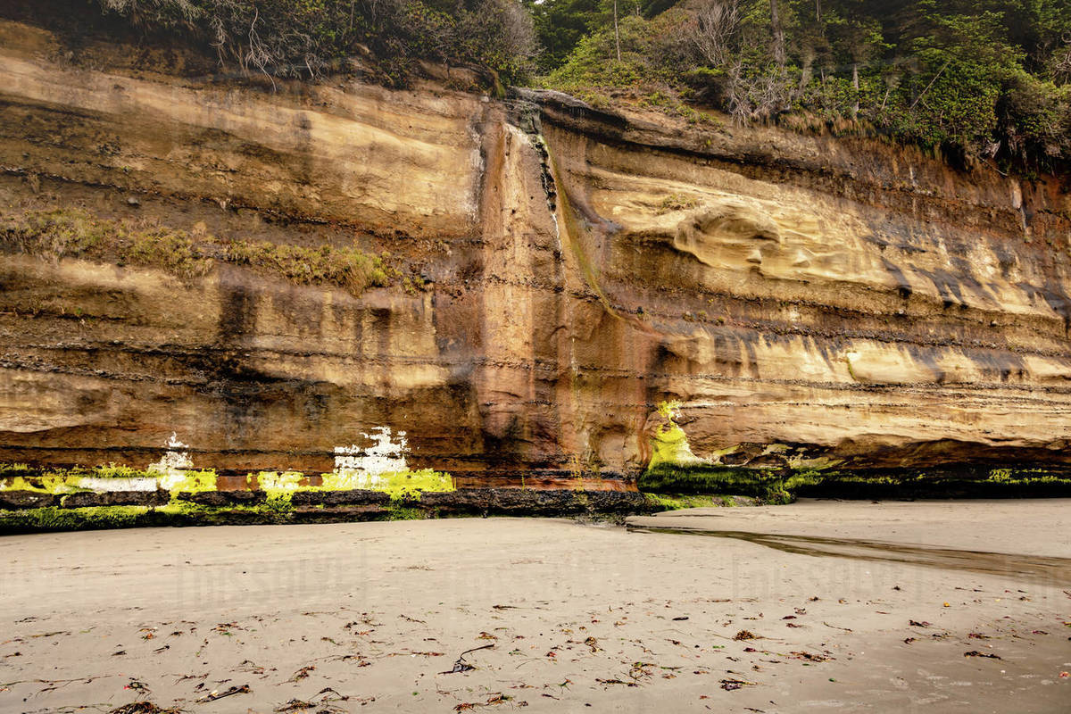 Sandstone cliff on Mystic Beach, Vancouver Island, British Columbia ...