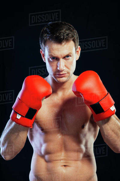 Portrait of a male boxer - Stock Photo - Dissolve