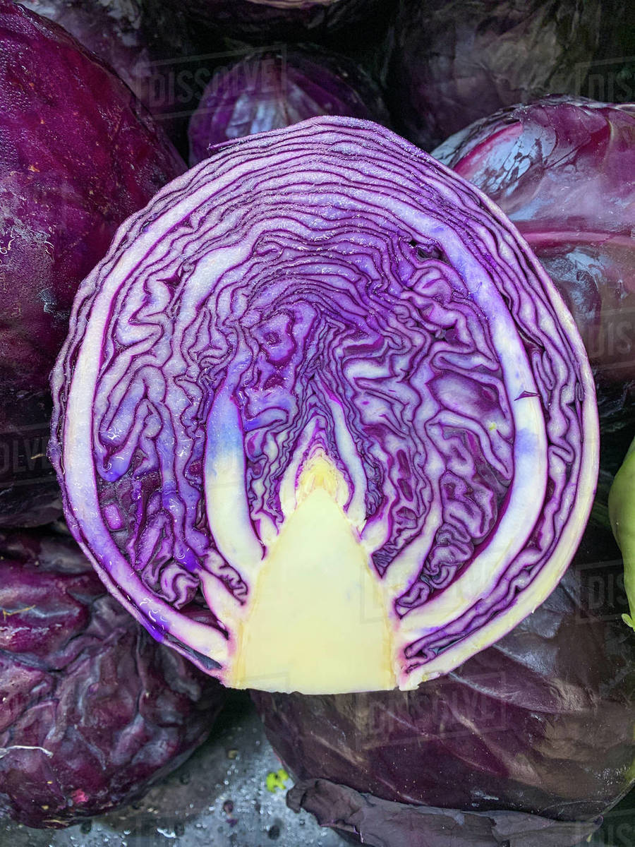 Close-up of half of a red cabbage - Royalty-free Stock Photo | Dissolve