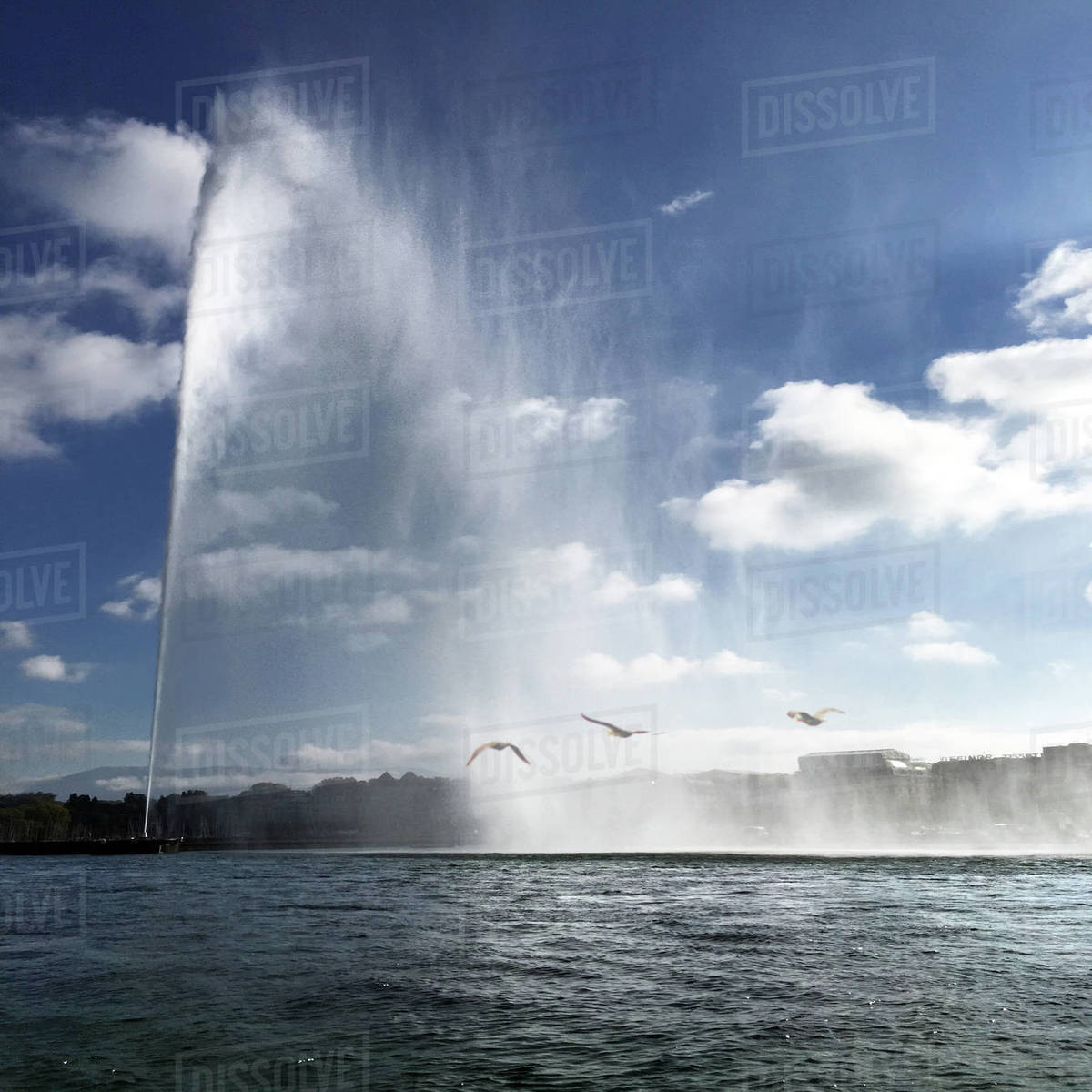 Jet d'Eau, Geneva - Stock Photo - Dissolve