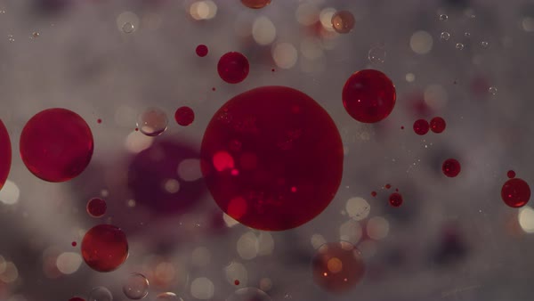 Macro abstract red blood cells floating in clear liquid texture ...