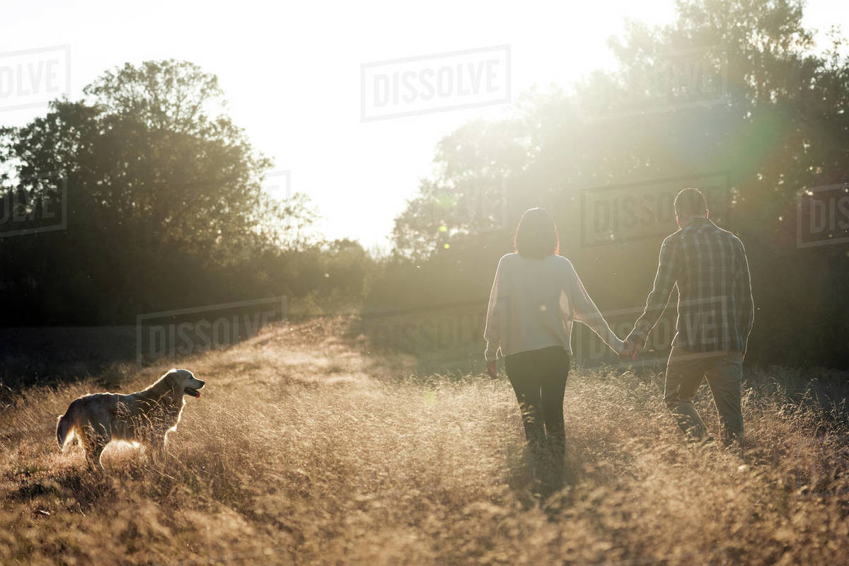 Couple with dog in countryside at sunset - Royalty-free Stock Photo ...