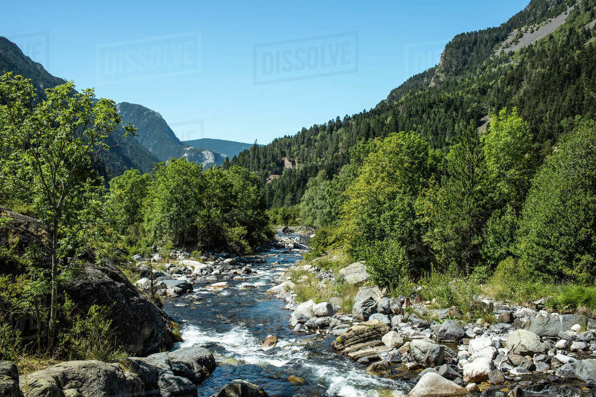 Long narrow waterfall of mountain river flowing over big stones between ...