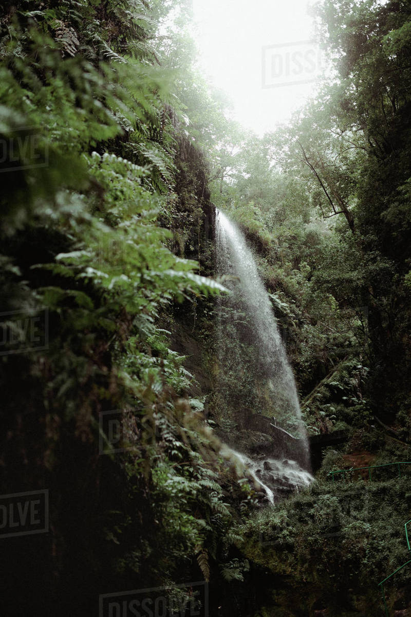 Picturesque scenery of small waterfall falling into narrow mountain ...