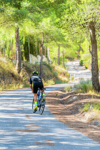 Full body back view of fit male cyclist in sportswear and helmet riding ...