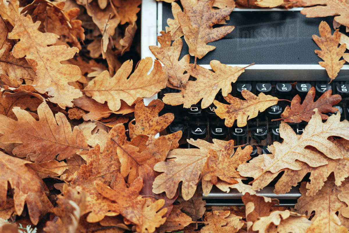 top view of vintage typewriter covered with oak leaves in autumn ...