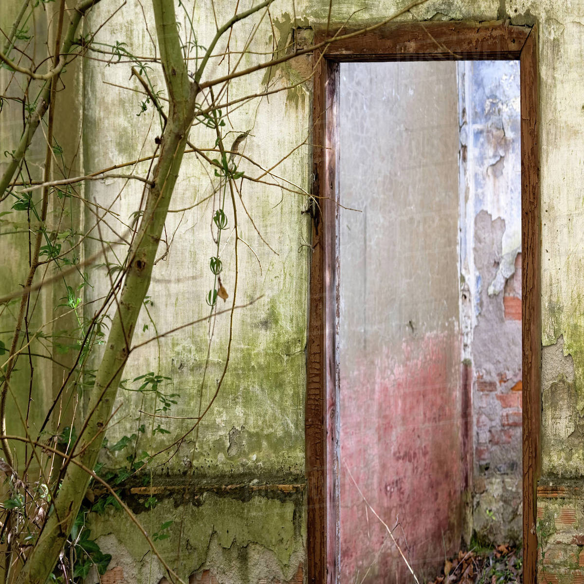 Aged shabby stone wall of desolate building with open door and tree ...