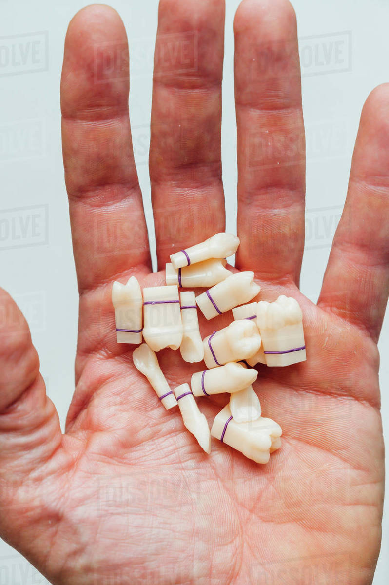 Top view of various plastic teeth models used for teaching dentistry ...