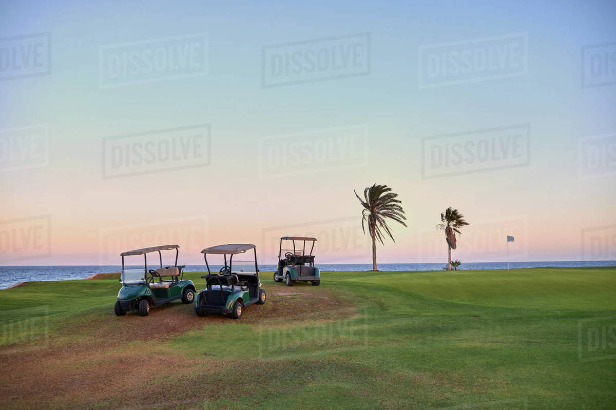 Majestic scenery of carts parked on golf course with palm trees near ...