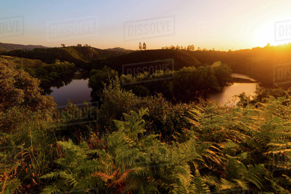 Peaceful river flowing in green nature - Royalty-free Stock Photo ...