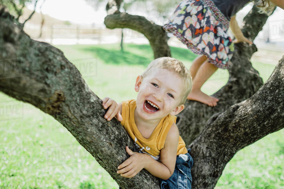 Playful children climbing tree on sunny green meadow - Royalty-free ...