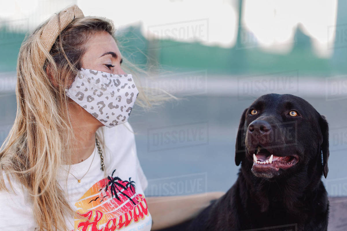 Side view of woman in protective mask with friendly Labrador Retriever ...