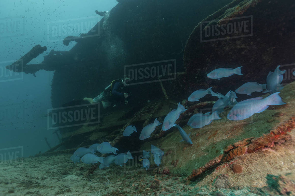 Scuba divers exploring shipwreck in ocean - Royalty-free Stock Photo ...