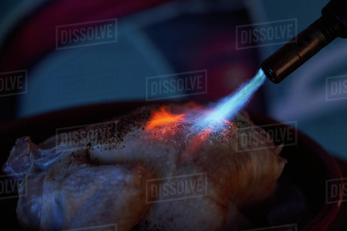 Whole fresh chicken during processing with flamethrower with bright gas ...