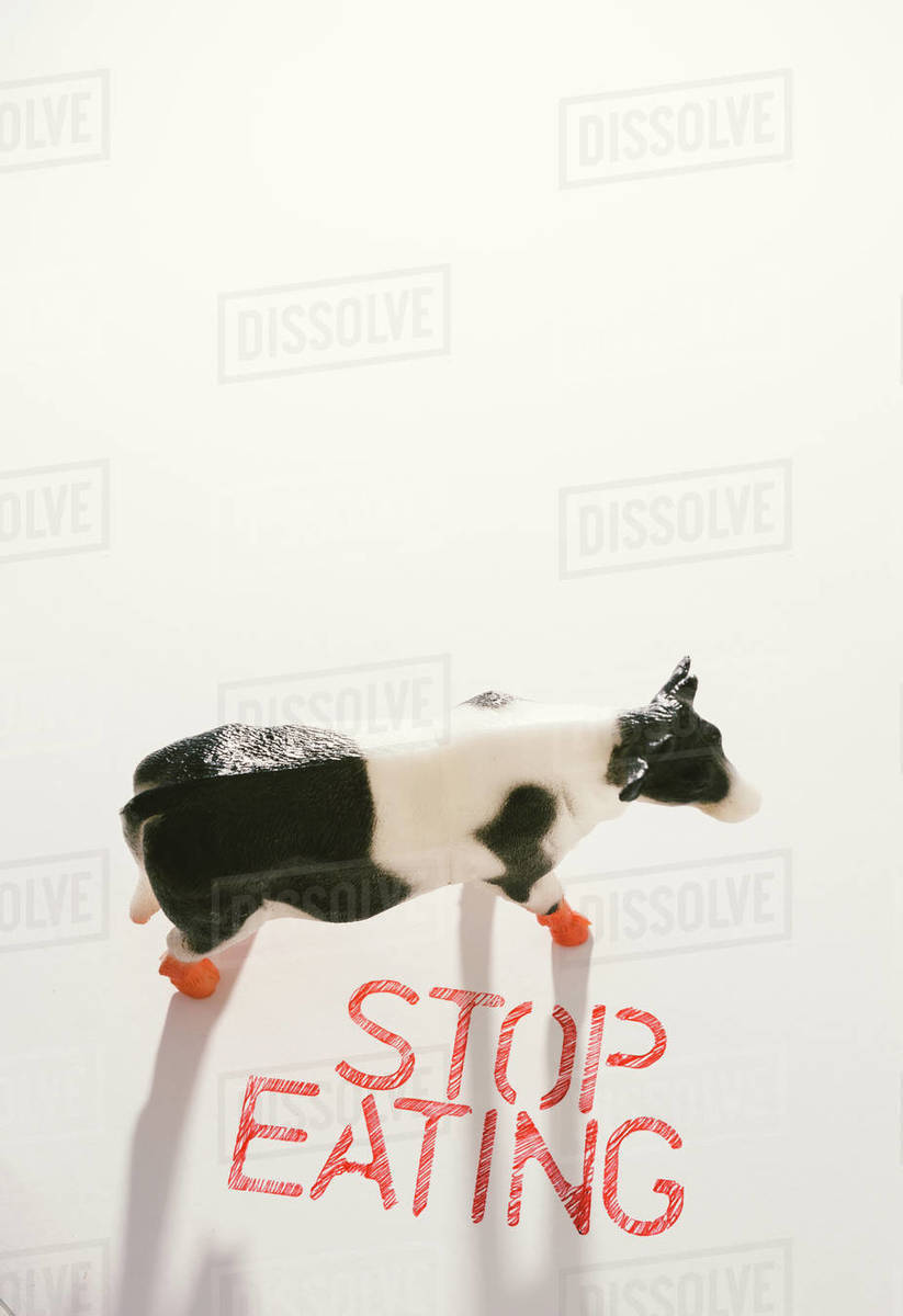 Slogan calling to stop eating animals - Royalty-free Stock Photo | Dissolve