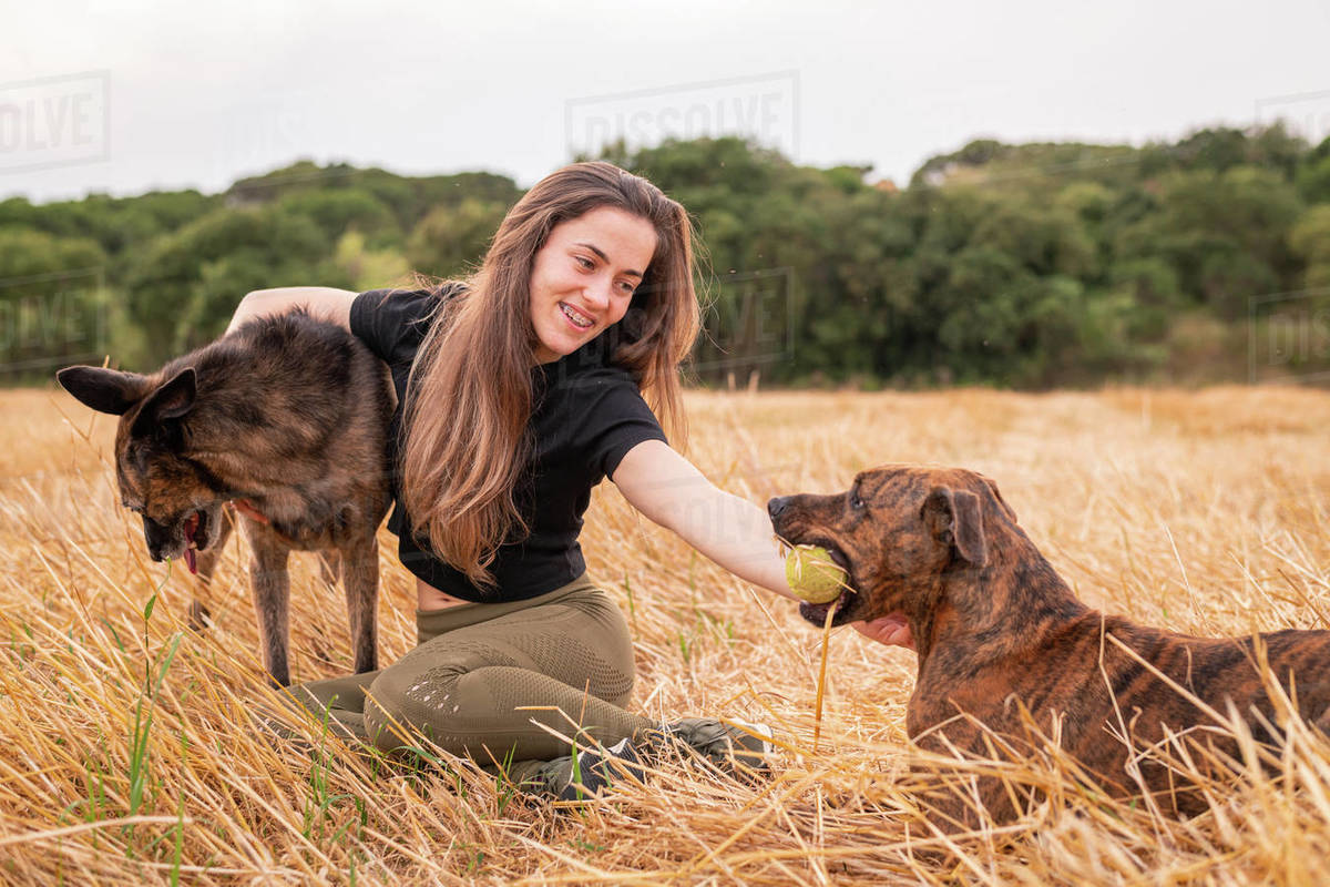 Content female sitting on grass while embracing and stroking Thai ...