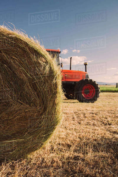 Tractor driving and harvesting hay on field - Royalty-free Stock Photo ...