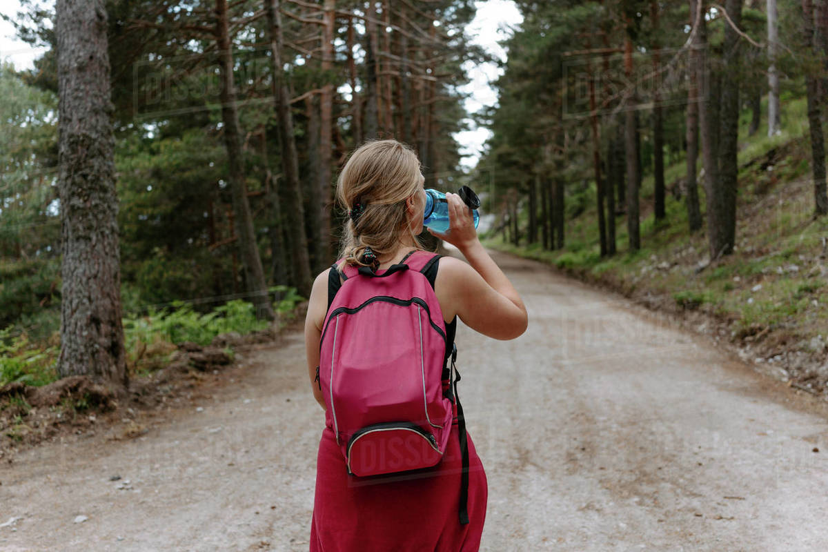 Back view of active young female backpacker standing on pathway among ...