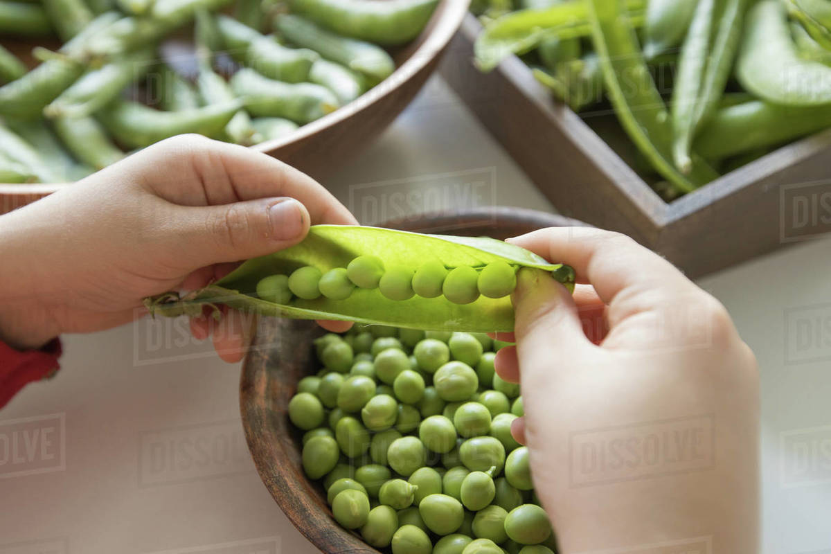 Crop little boy peeling pea pods in kitchen - Royalty-free Stock Photo ...